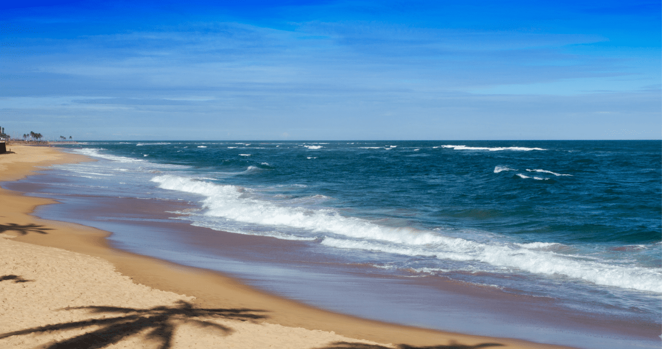 As 5 Melhores Praias de Salvador Bahia - Blog de Viagem As 5 Melhores Praias de Salvador Bahia - Blog de Viagem